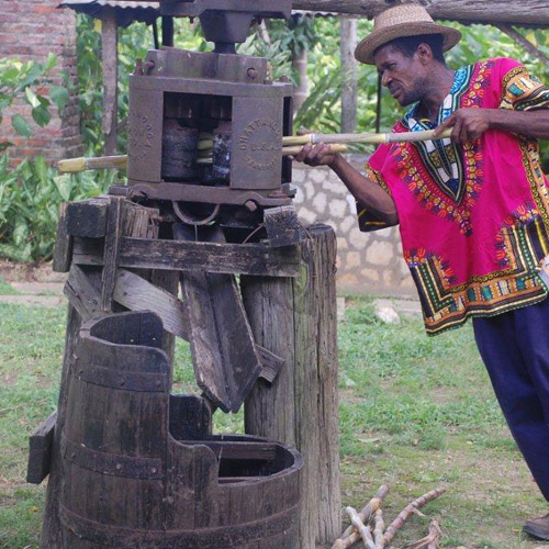 Bellefield Great House & Gardens | Tours